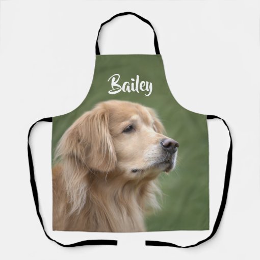 Handsome Golden Retriever Dog in Closeup Apron | Zazzle