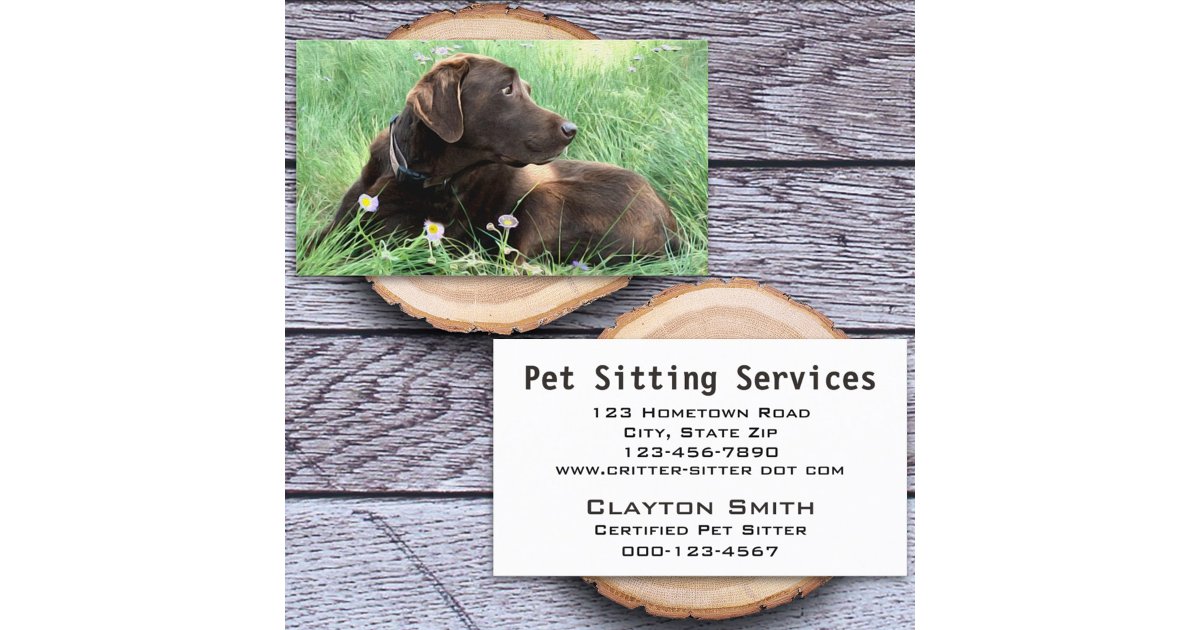 Handsome Labrador Retriever Photograph Animal Care Business Card | Zazzle