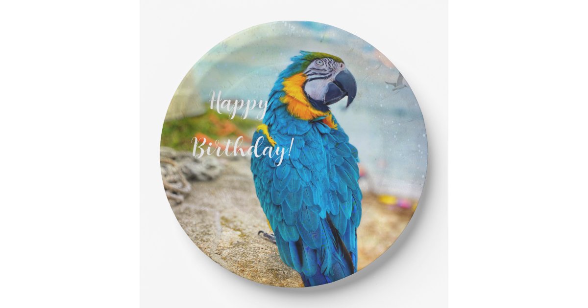 Handsome Macaw Parrot Paper Plates | Zazzle