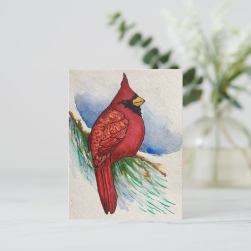 Handsome Northern Cardinal Red Bird Postcard | Zazzle