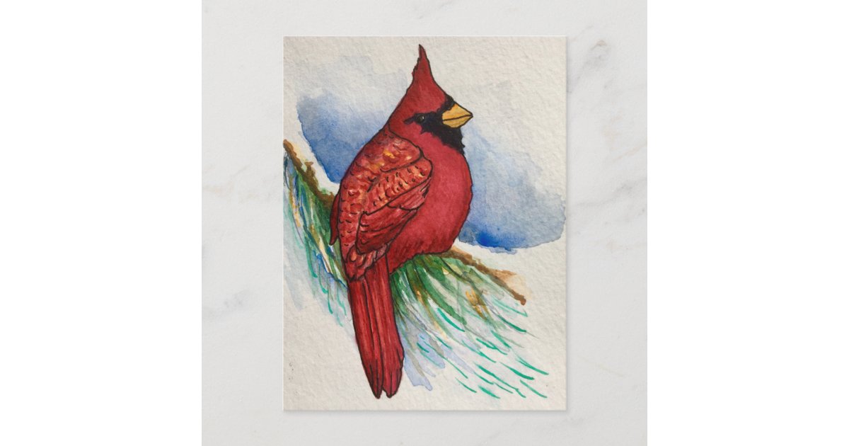 Handsome Northern Cardinal Red Bird Postcard | Zazzle
