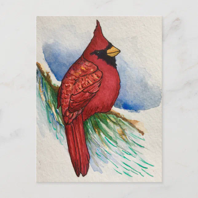 Handsome Northern Cardinal Red Bird Postcard | Zazzle