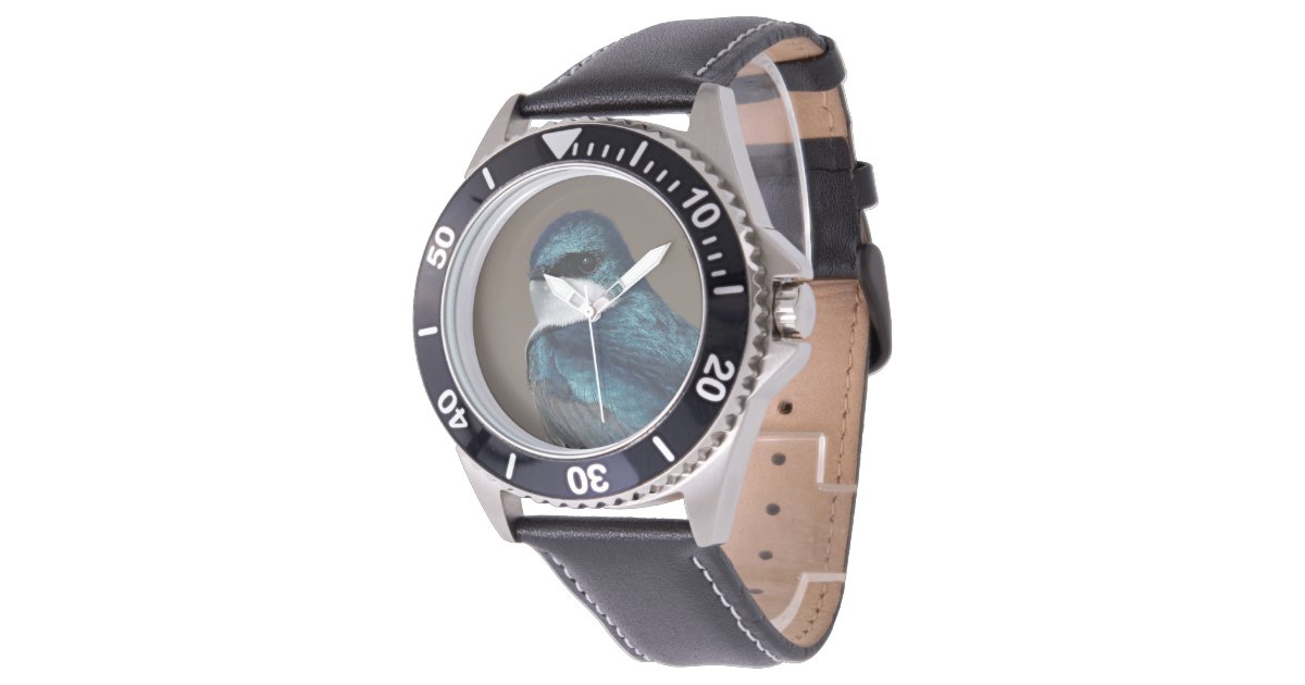 Handsome Tree Swallow Songbird on a Wire Watch | Zazzle