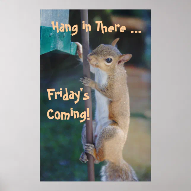 Hang in There, Friday'sComing! Squirrel Poster | Zazzle