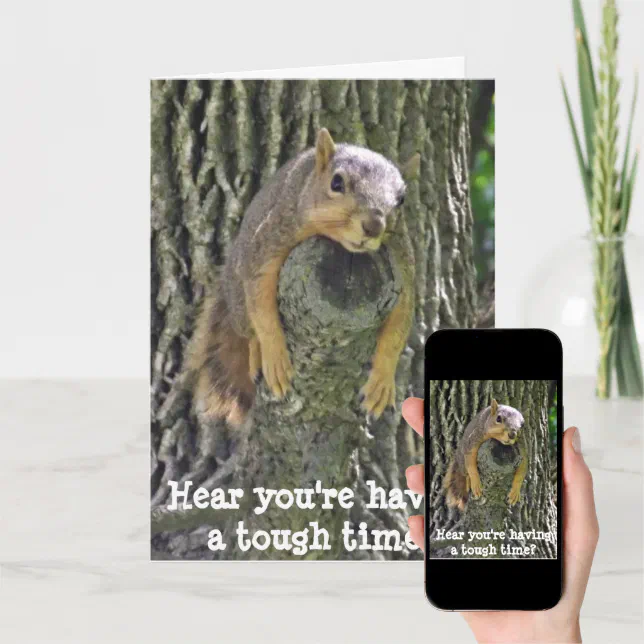 Hang in There, Get Well Card, Cute Squirrel Card | Zazzle