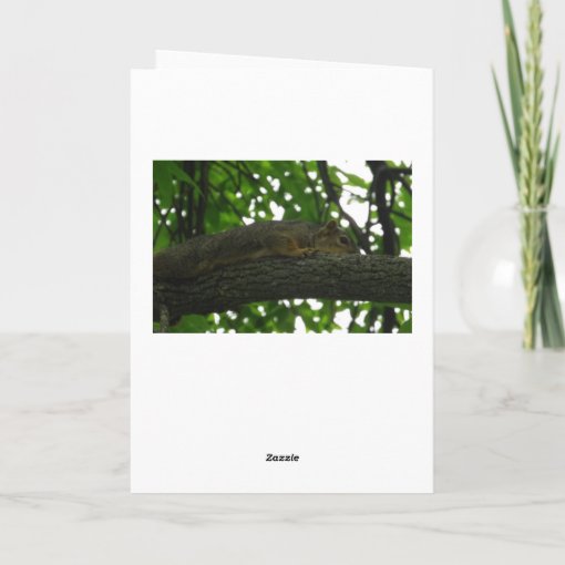 Hang in There, Get Well Card, Cute Squirrel Card | Zazzle