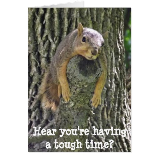 Hang in There, Get Well Card, Cute Squirrel Card | Zazzle.com