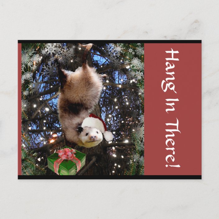 Hanging In There! Christmas Postcard | Zazzle.com