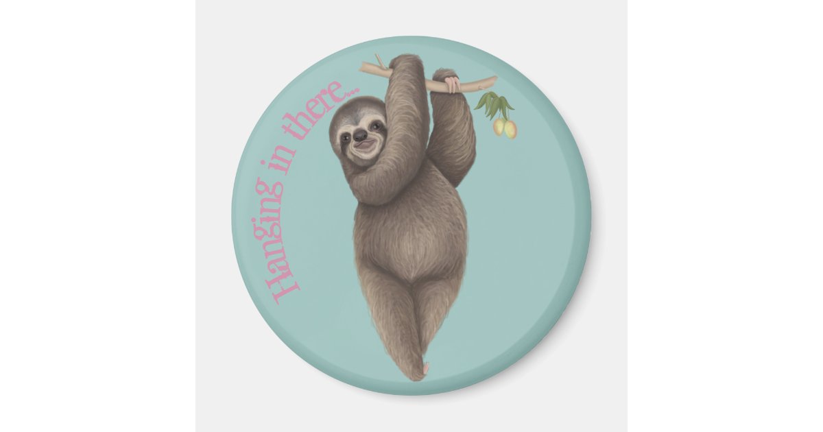 Hanging In There - Sloth Magnet | Zazzle