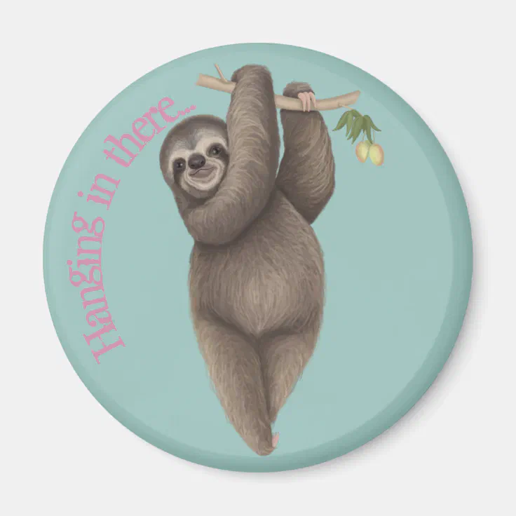 Hanging In There - Sloth Magnet | Zazzle