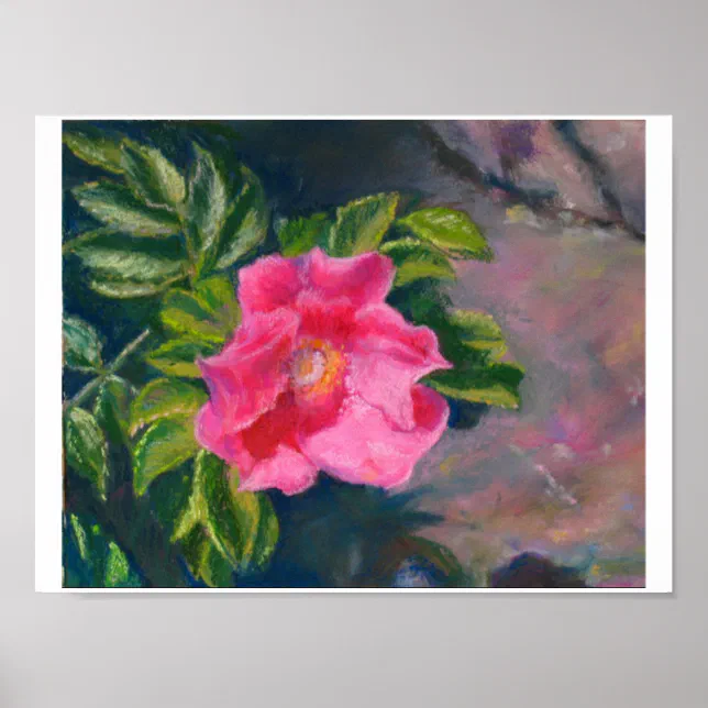 Hansa Shore Rose Poster | Zazzle
