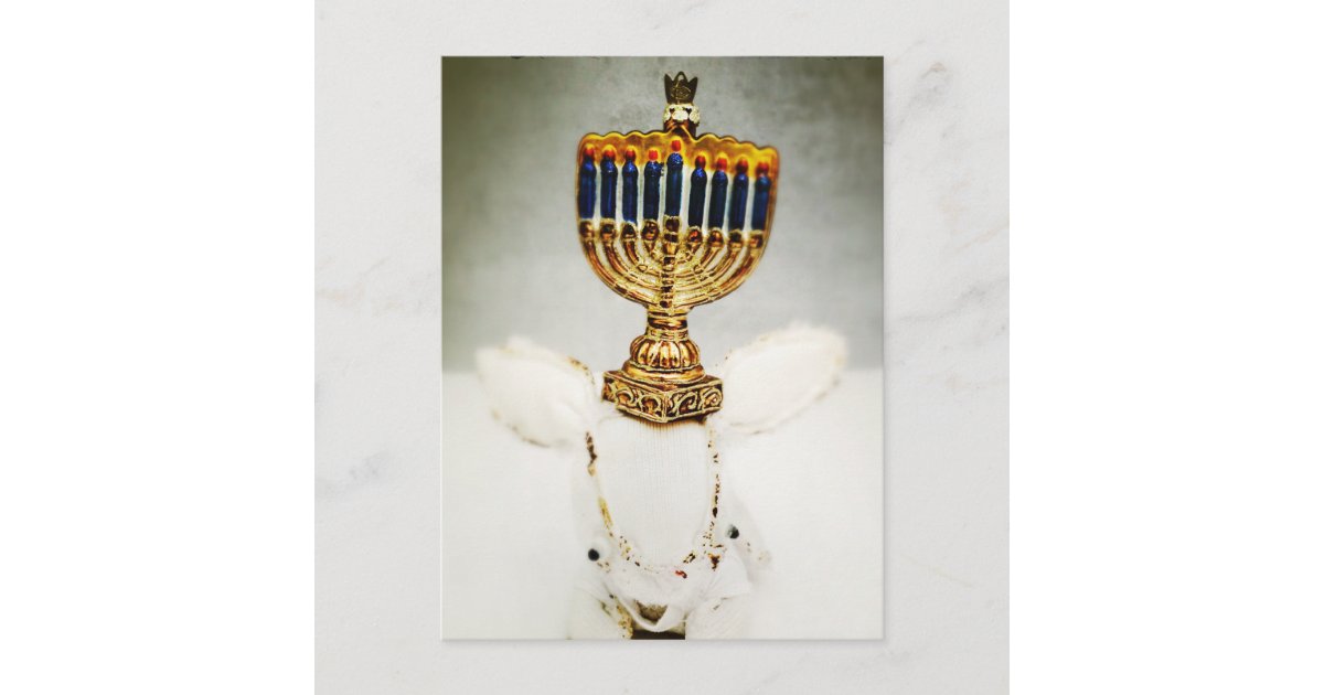Hanukkah Greeting Card - Aldo a Rabbit and Menorah | Zazzle