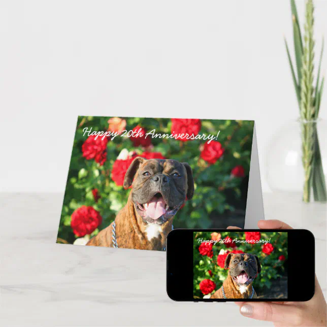 Happy 20th Anniversary Boxer Greeting Card | Zazzle