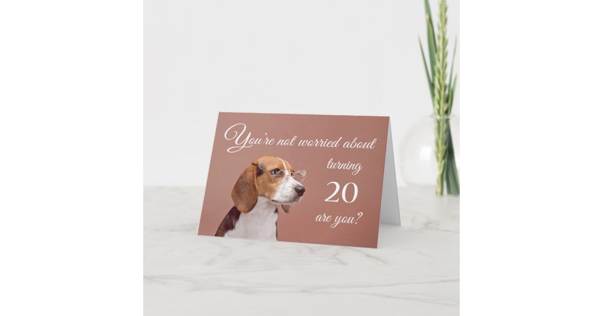 Happy 20th birthday, worried beagle card | Zazzle