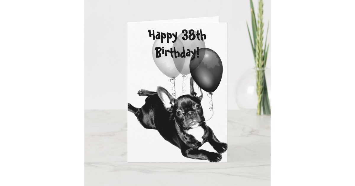 Happy 38th Birthday French Bulldog Greeting card | Zazzle