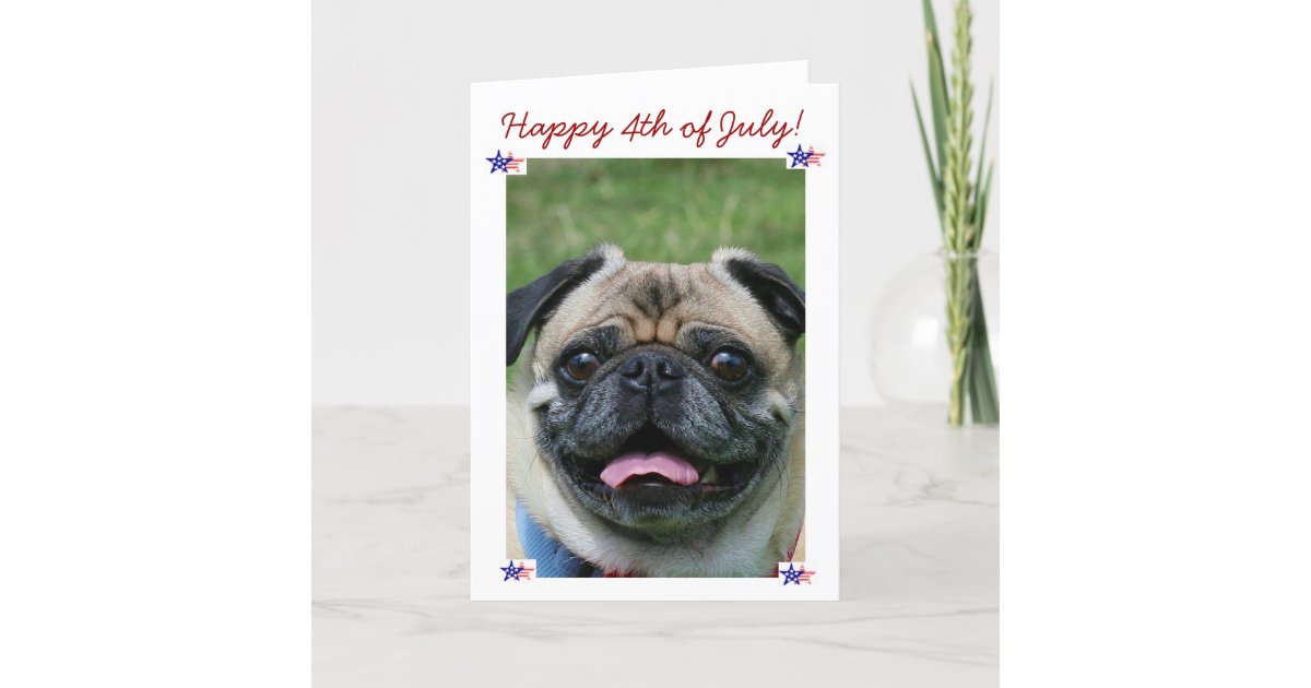 Happy 4th of July Pug Dog Card | Zazzle