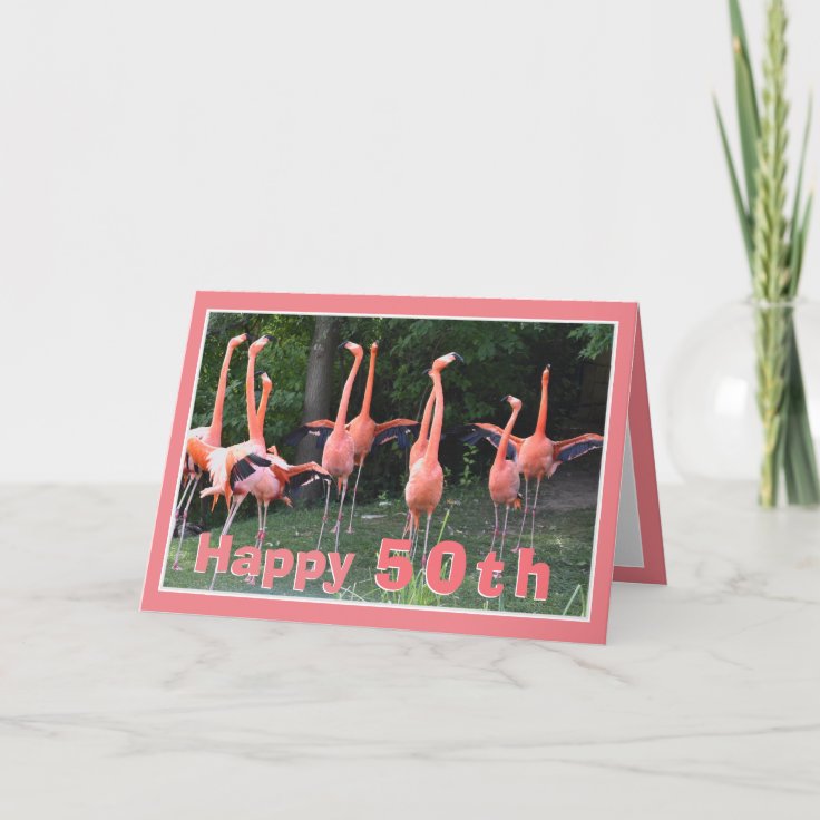 Happy 50 Flamingo Birthday Card | Zazzle
