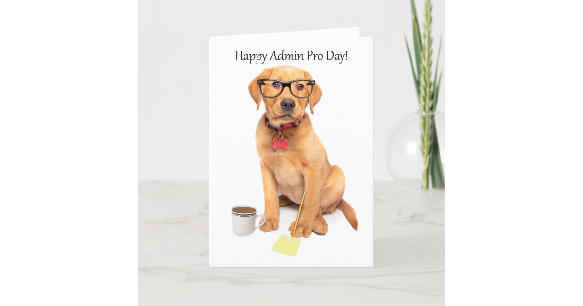 Happy Administrative Professional Day Cute Lab Dog Holiday Card | Zazzle