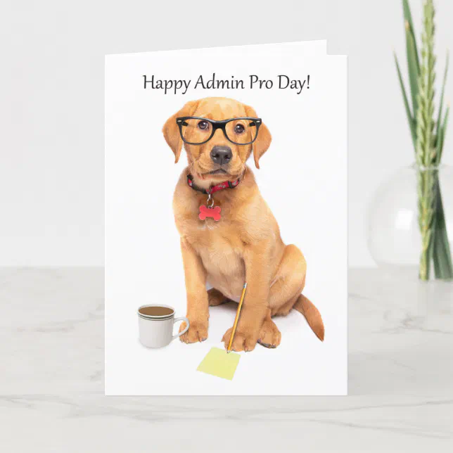 Happy Administrative Professional Day Cute Lab Dog Holiday Card | Zazzle