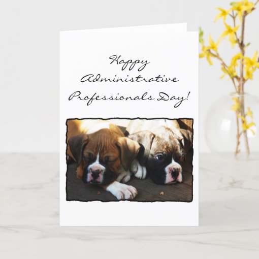 Happy Administrative Professionals Day Boxer Card | Zazzle