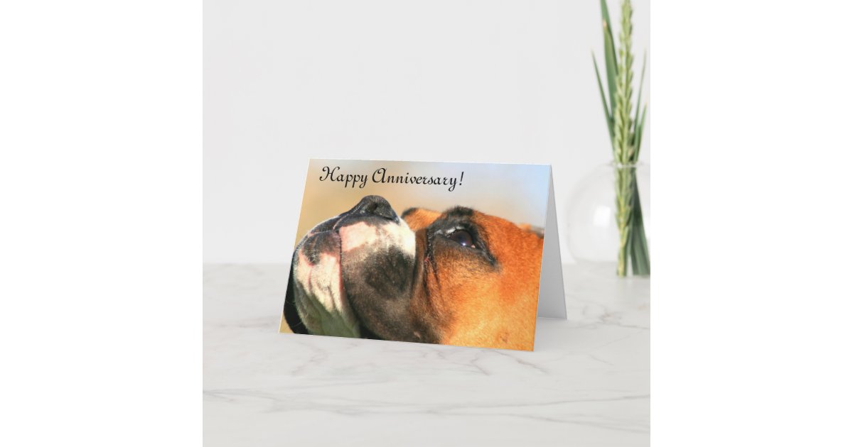Happy Anniversary Boxer Dog Greeting Card | Zazzle