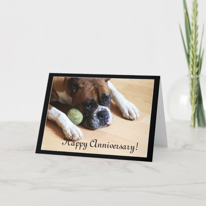 Happy Anniversary boxer dog greeting card | Zazzle.com