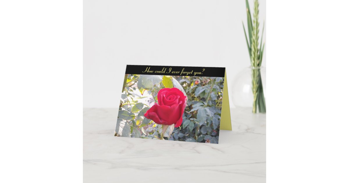 Happy Anniversary card - red rose funny | Zazzle