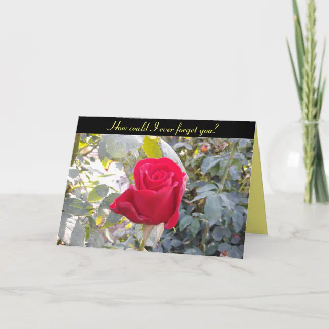 Happy Anniversary card - red rose funny | Zazzle