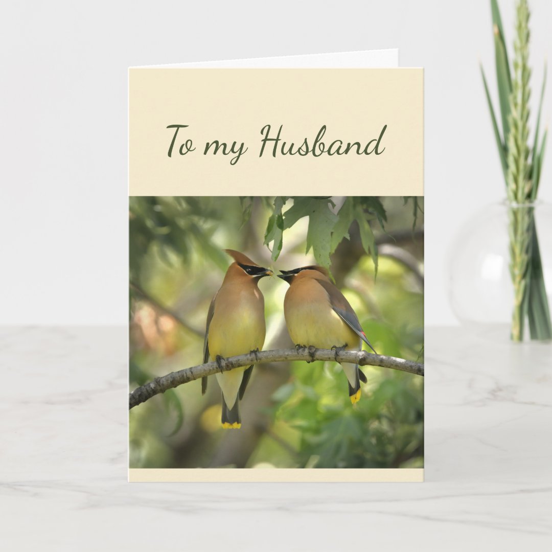 Happy Anniversary Husband Birds in Love Fun Card | Zazzle