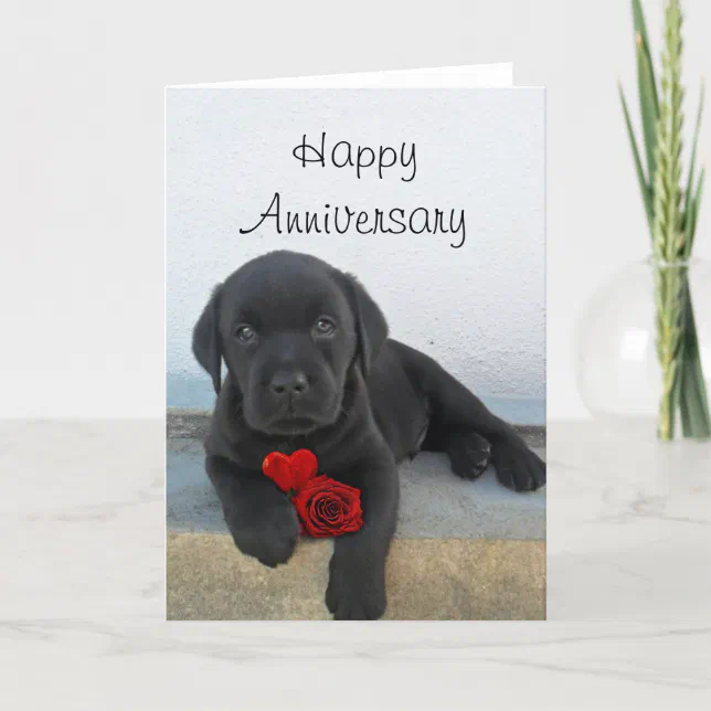 Happy Anniversary Labrador puppy greeting card | Zazzle