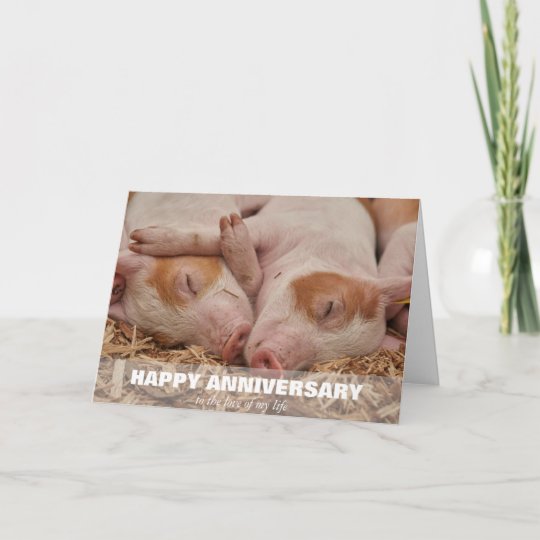 Happy Anniversary Pig Custom Card | Zazzle.com