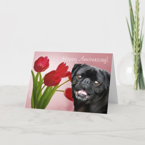 Happy Anniversary Pug greeting card | Zazzle