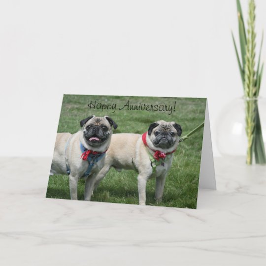 Happy Anniversary Pug Greeting Card | Zazzle.com