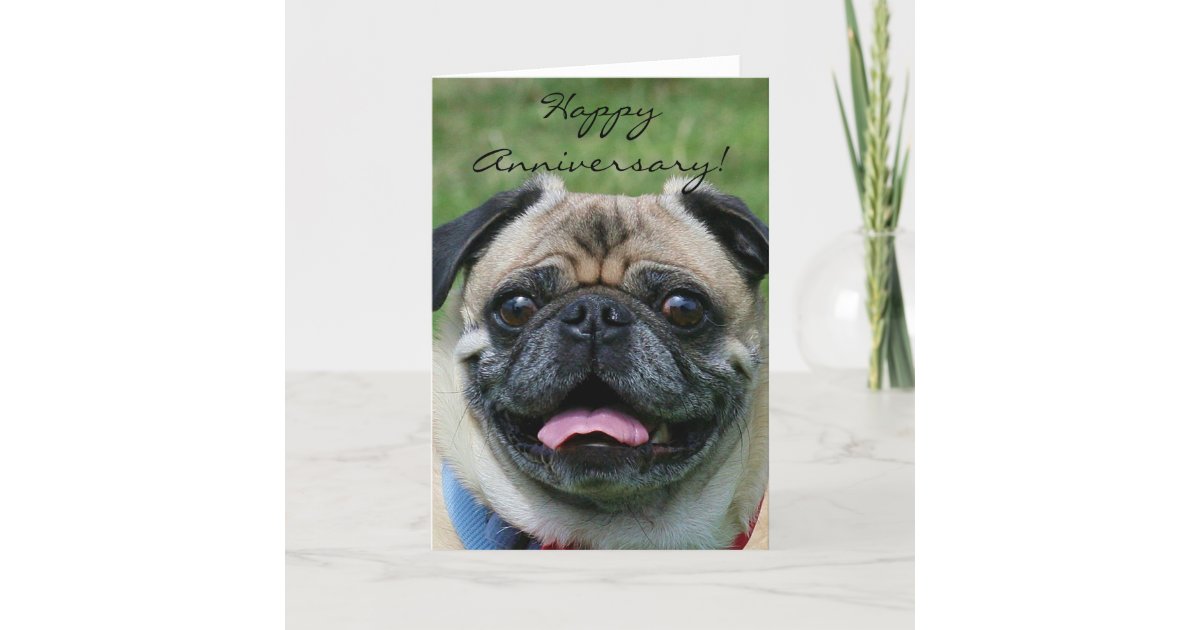 Happy Anniversary Pug Greeting Card | Zazzle
