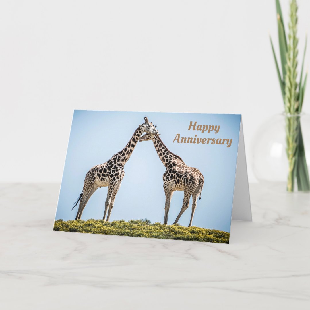 Happy Anniversary Romantic Giraffes Kissing Card | Zazzle