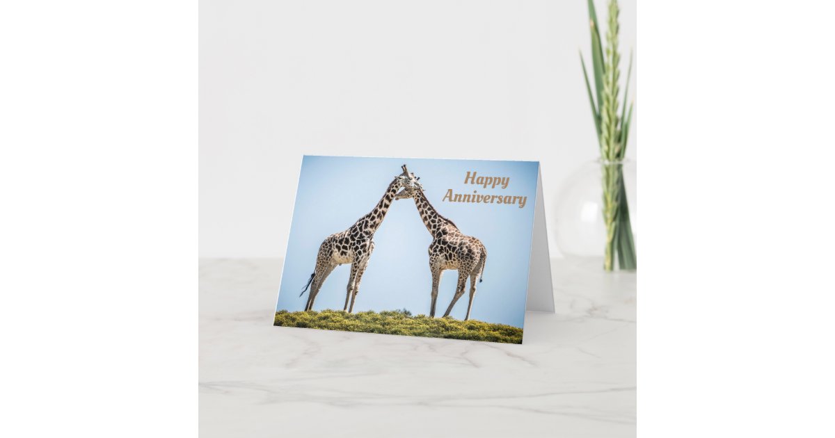 Happy Anniversary Romantic Giraffes Kissing Card | Zazzle