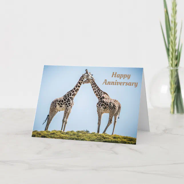 Happy Anniversary Romantic Giraffes Kissing Card | Zazzle