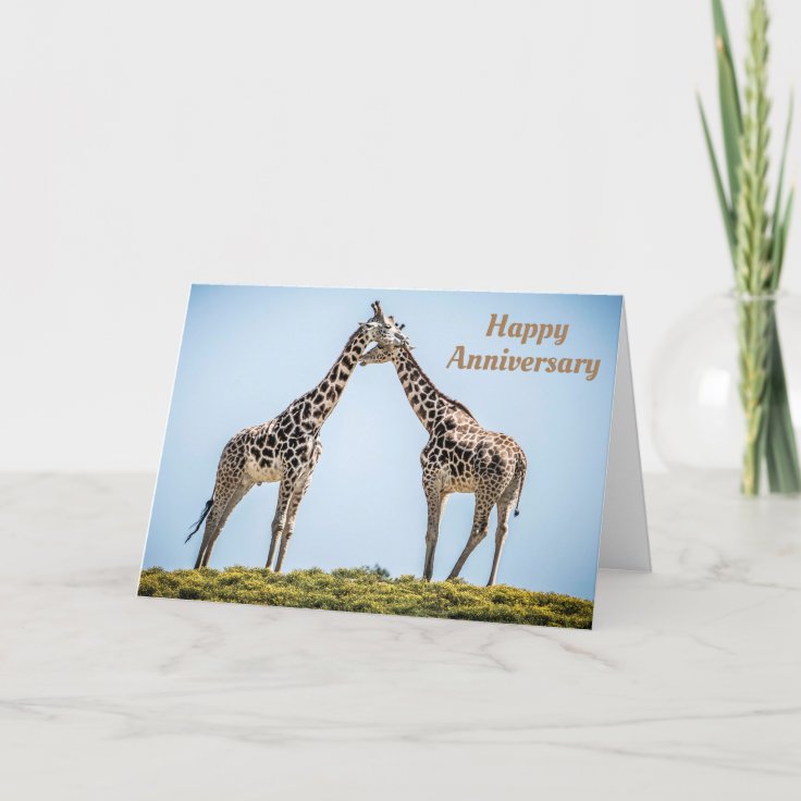 Happy Anniversary Romantic Giraffes Kissing Card | Zazzle