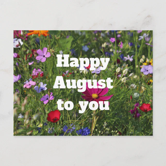 Happy August Postcard | Zazzle