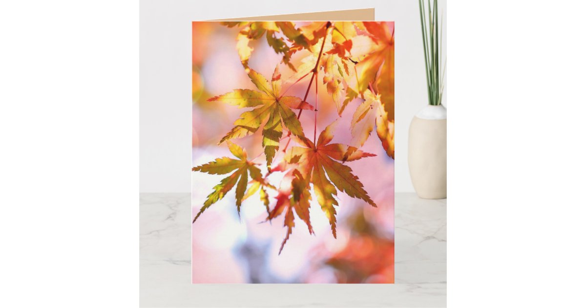HAPPY AUTUMN FALL GREETING CARDS | Zazzle