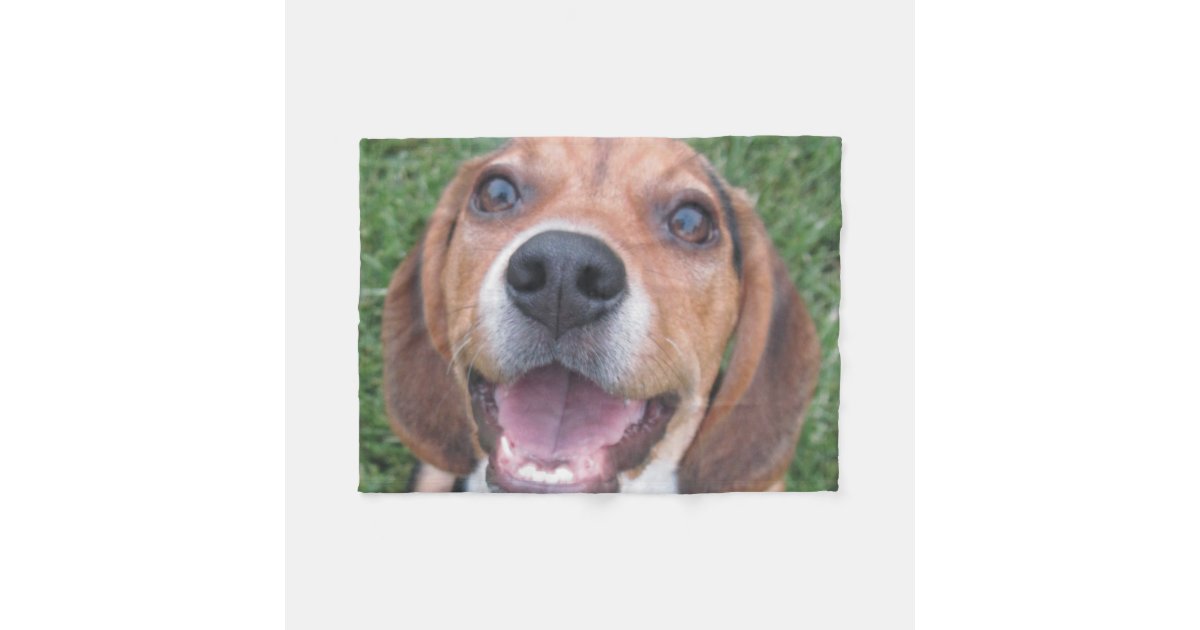 Happy Beagle Smiling Fleece Blanket | Zazzle