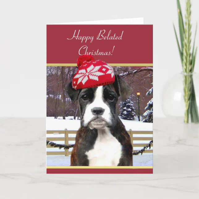 Happy Belated Christmas boxer dog Holiday Card | Zazzle
