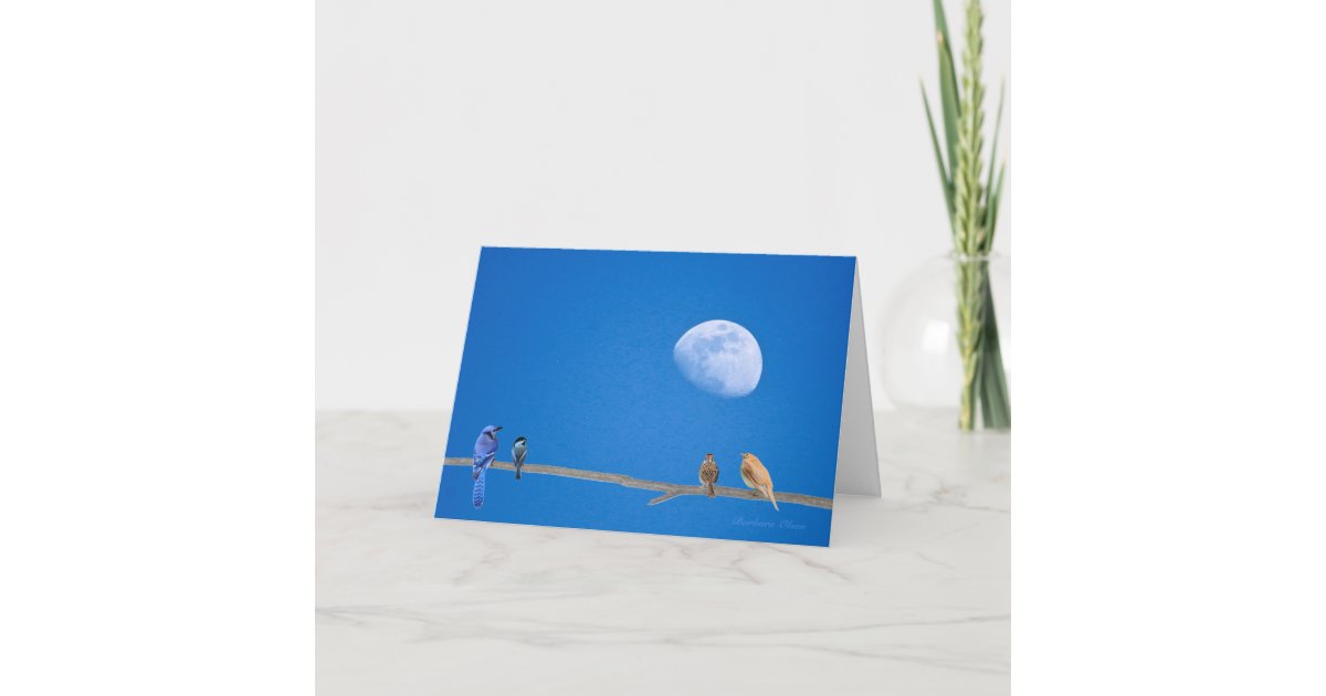 Happy BirdDay-- birds on the wire. Card | Zazzle
