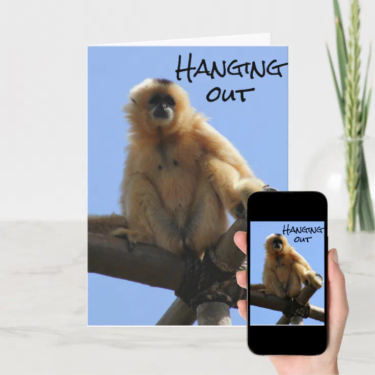 HAPPY BIRTHDAY**40th BIRTHDAY** JUST HANGING OUT! Card | Zazzle