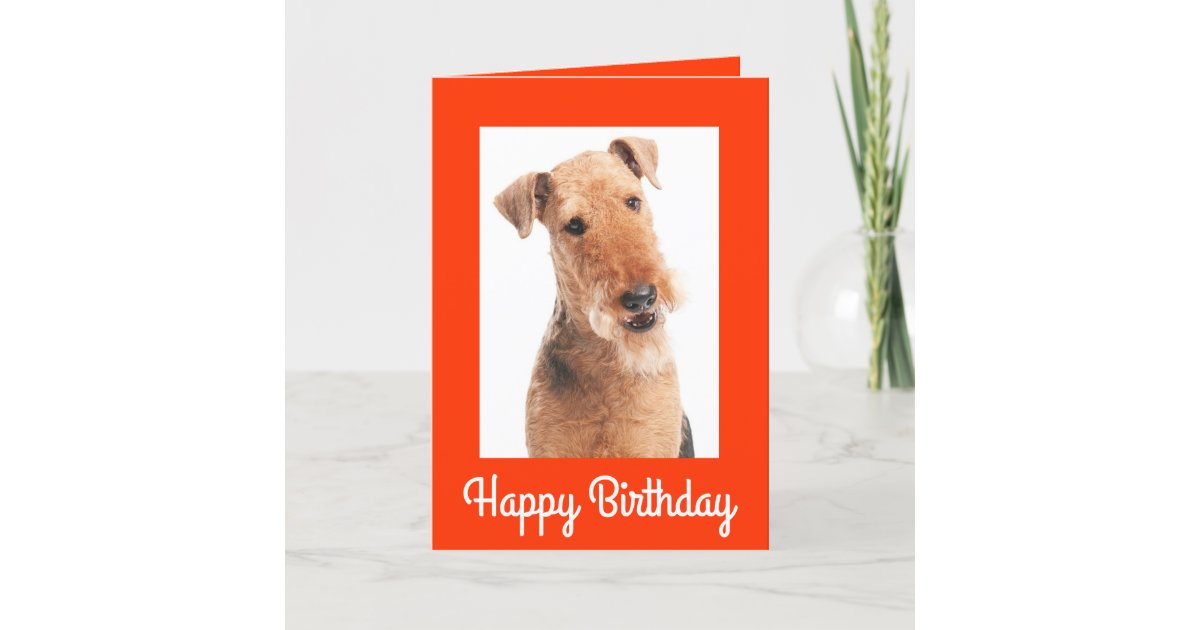 Happy Birthday Airedale Terrier Dog Greeting Card | Zazzle