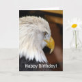 Happy Birthday! American Bald Eagle Card | Zazzle