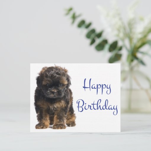 Happy Birthday Baby Havanese Puppy Dog Postcard | Zazzle