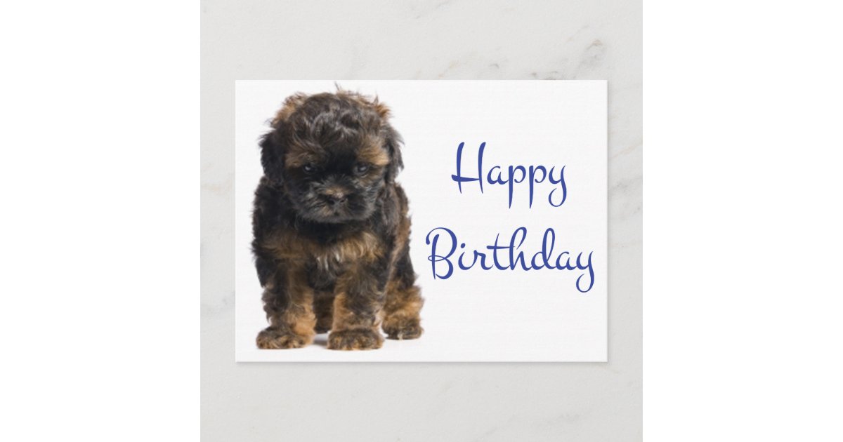 Happy Birthday Baby Havanese Puppy Dog Postcard | Zazzle