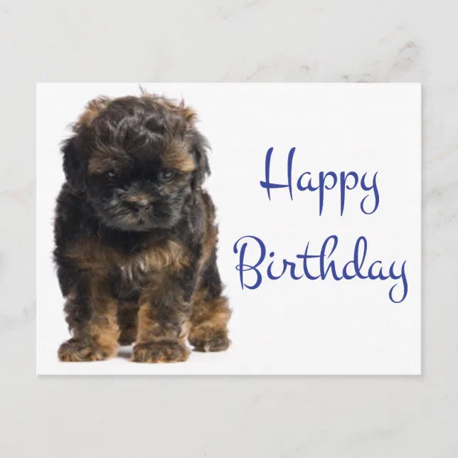Happy Birthday Baby Havanese Puppy Dog Postcard | Zazzle