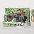 Happy Birthday Bison Bull At The Covered Bridge Card | Zazzle